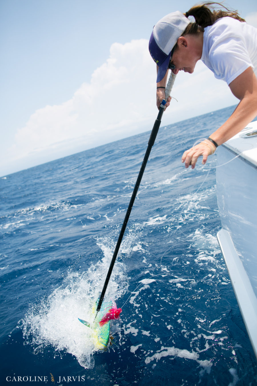 Gone Fishin' - My blog